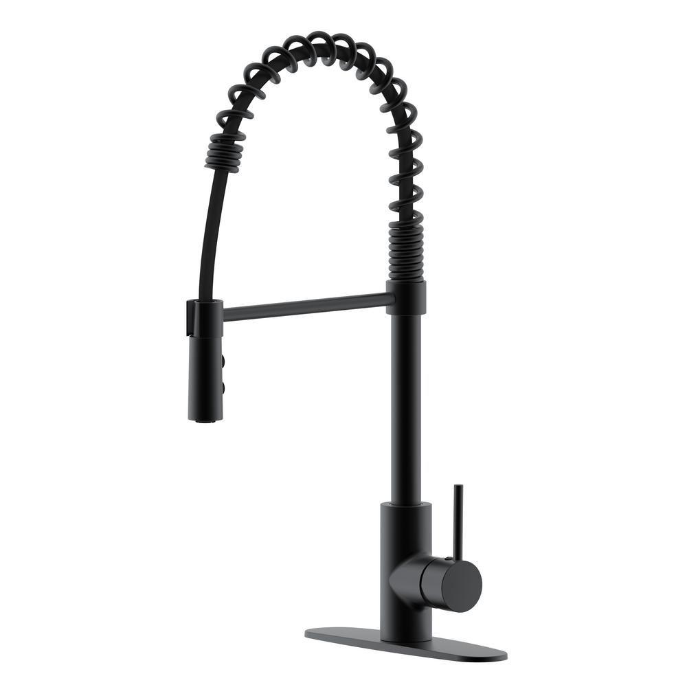 Runfine Lincoln Single-Handle Pull Down Sprayer Kitchen Faucet Spring ...