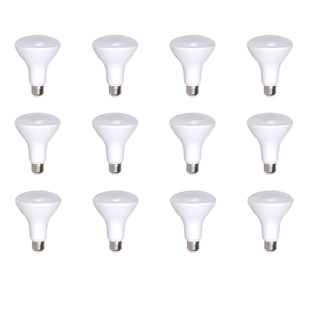 Simply Conserve 100-Watt Equivalent R40 Dimmable Warm White 25000-Hour ...
