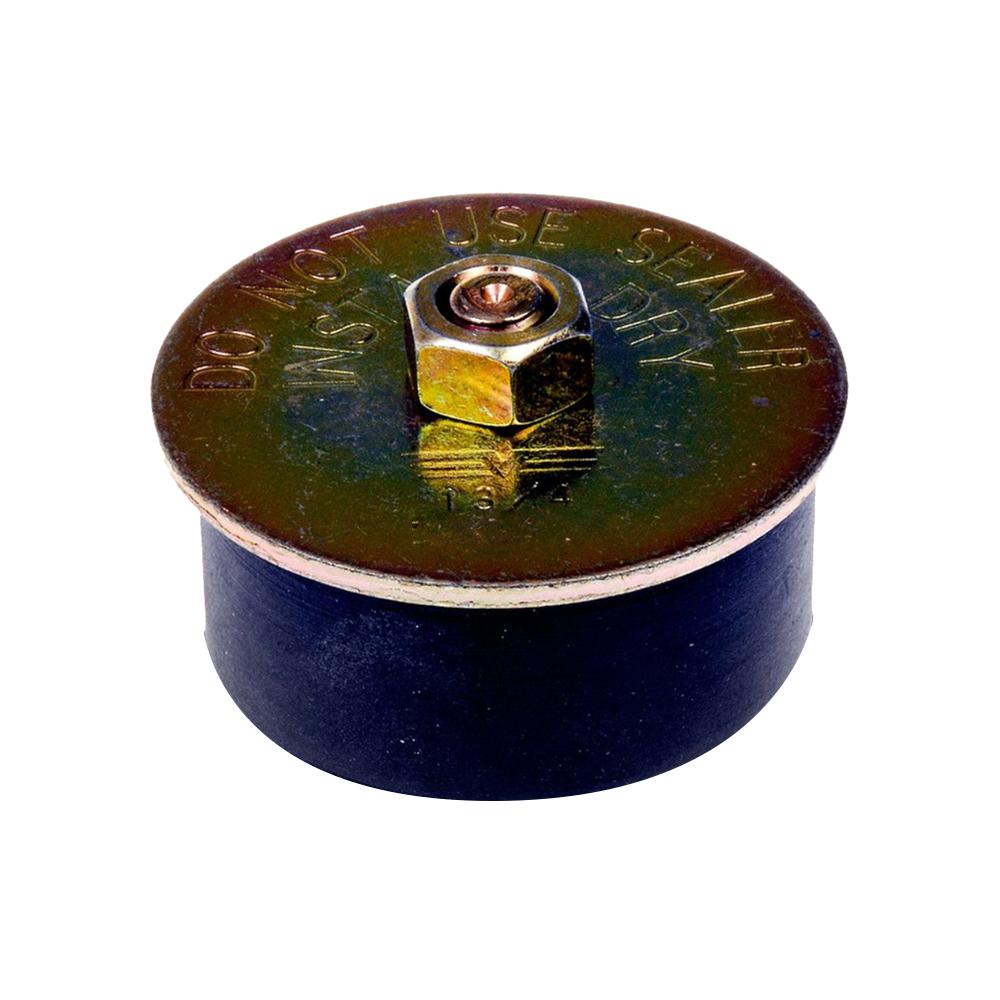 Autograde Rubber Expansion Plug 1-3/4 In. - Size Range 1-3/4 In. - 1-7/ ...