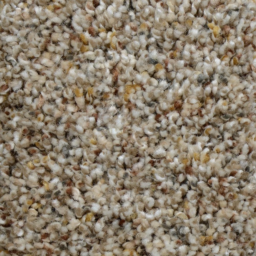 Home Decorators Collection Carpet Sample - Captivating - Color Eden ...