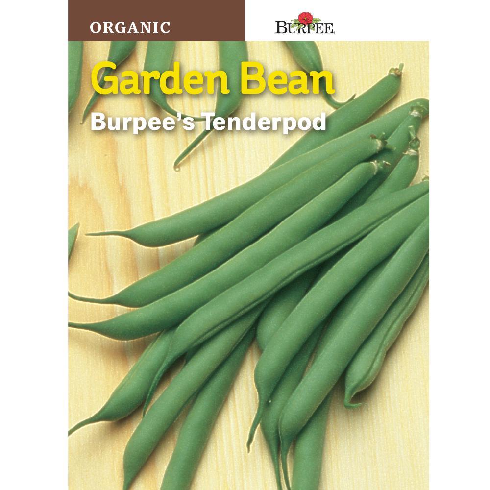 Burpee Bean Garden Tender-Pod Organic Seed-67823 - The Home Depot