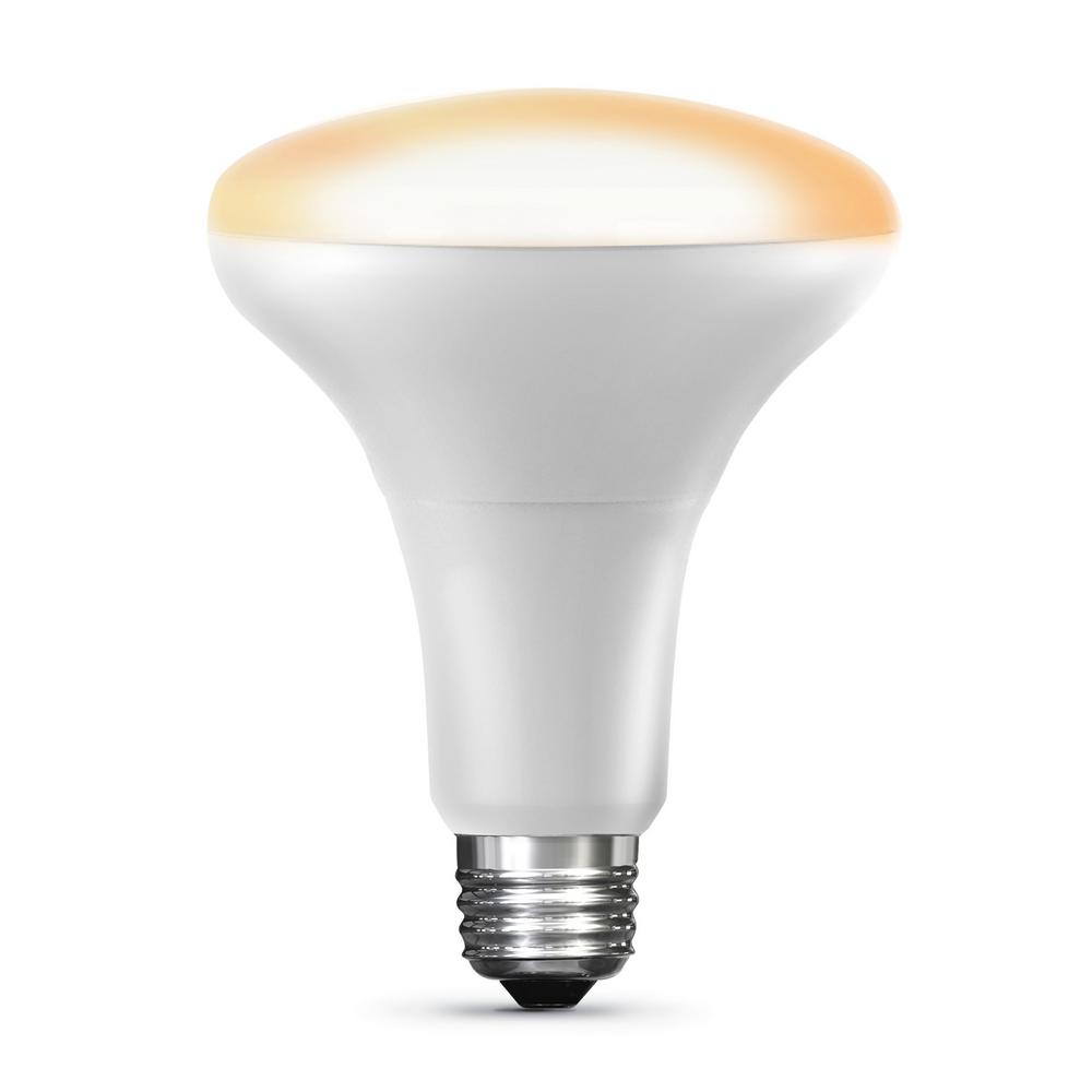 Feit Electric 65-Watt Equivalent Soft White (2700K) BR30 Dimmable Apple ... Feit Electric 65-Watt Equivalent Soft White (2700K) BR30 Dimmable Apple ...