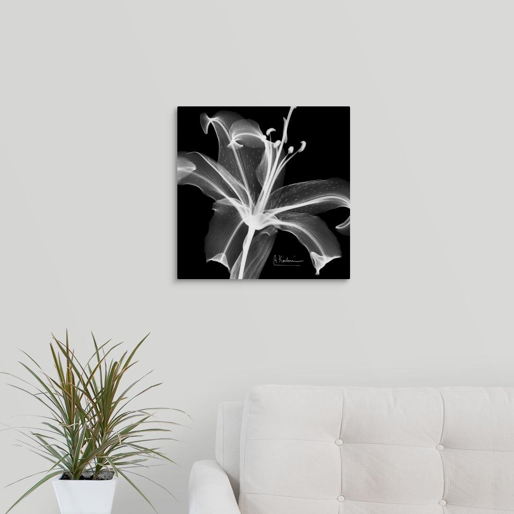 GreatBigCanvas "Fern Leaf X-Ray Photograph" by Albert Koetsier Canvas ...