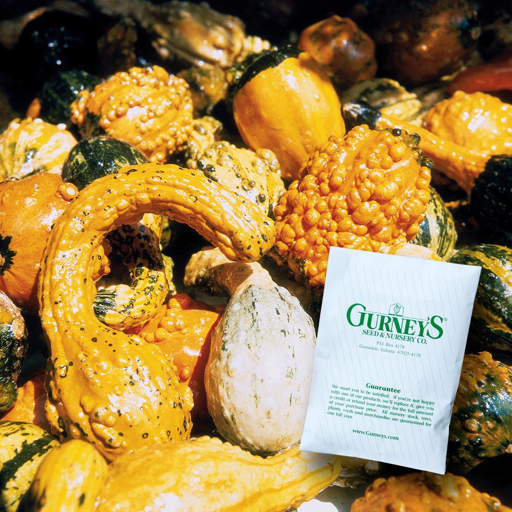 Gurney's Gourd Large and Small Mix (30 Seed Packet)-15192 - The Home Depot
