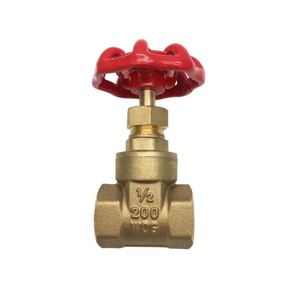 THEWORKS 3/4 in. FIP x FIP Heavy Pattern Brass Threaded Gate Valve ...