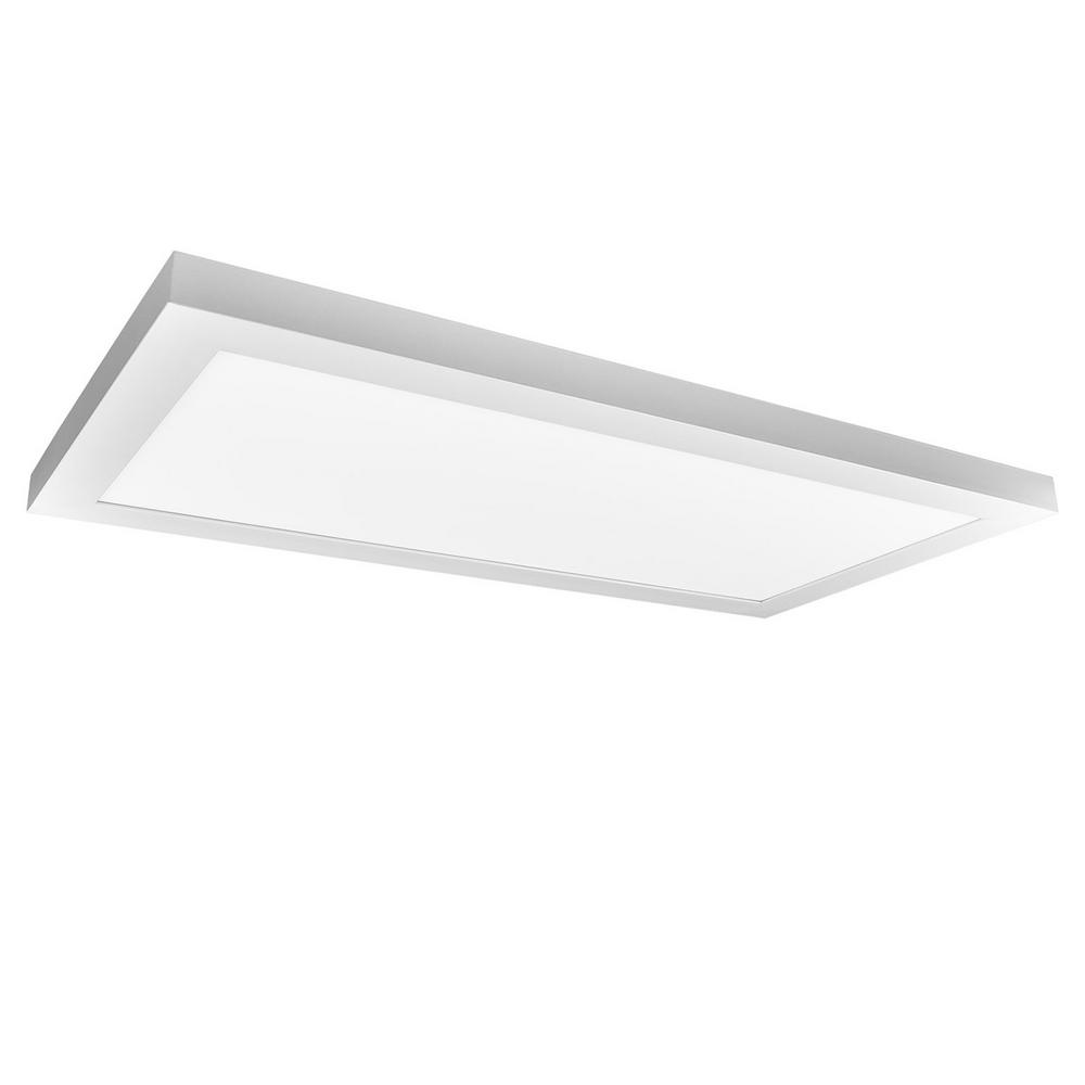 LUXRITE 12 in. x 24 in. Ultra Thin LED Panel Light 22-Watt 5 Color ...