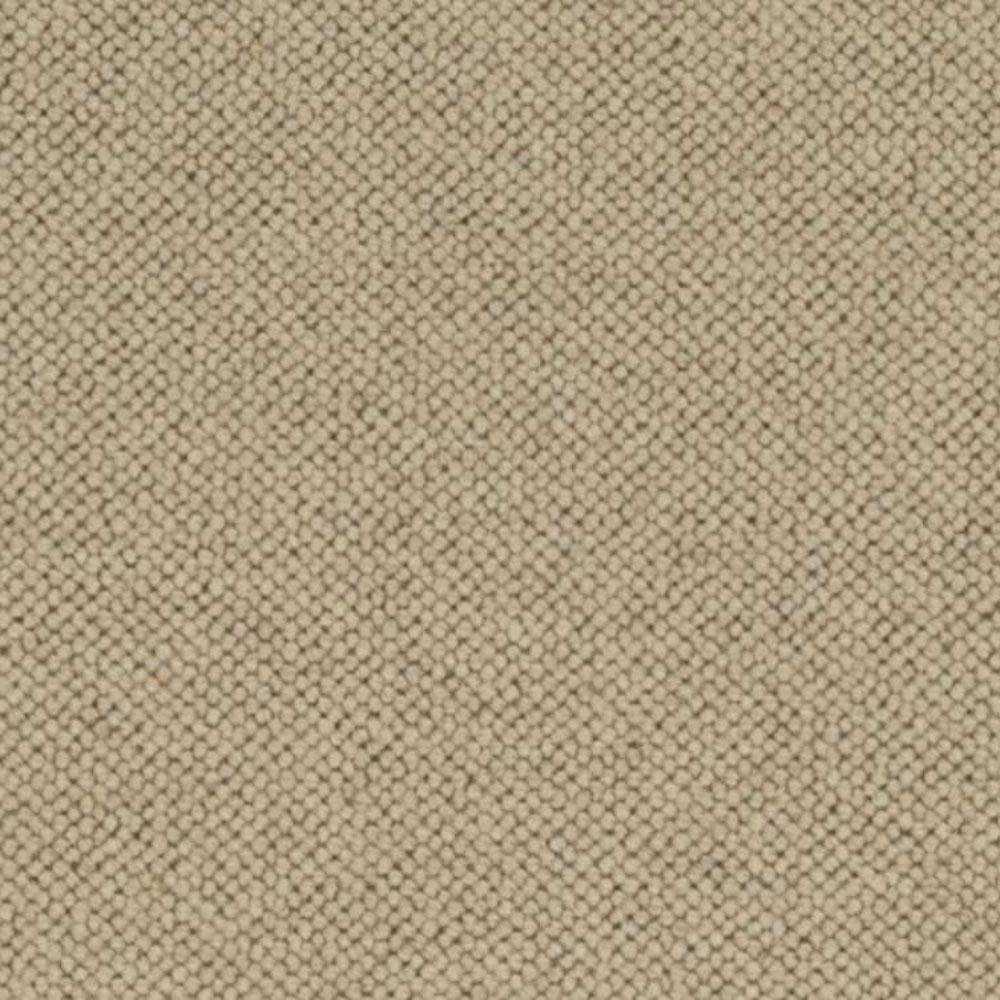LifeProof Carpet Sample - Hampton - Color Oatmeal Pattern 8 in. x 8 in ...
