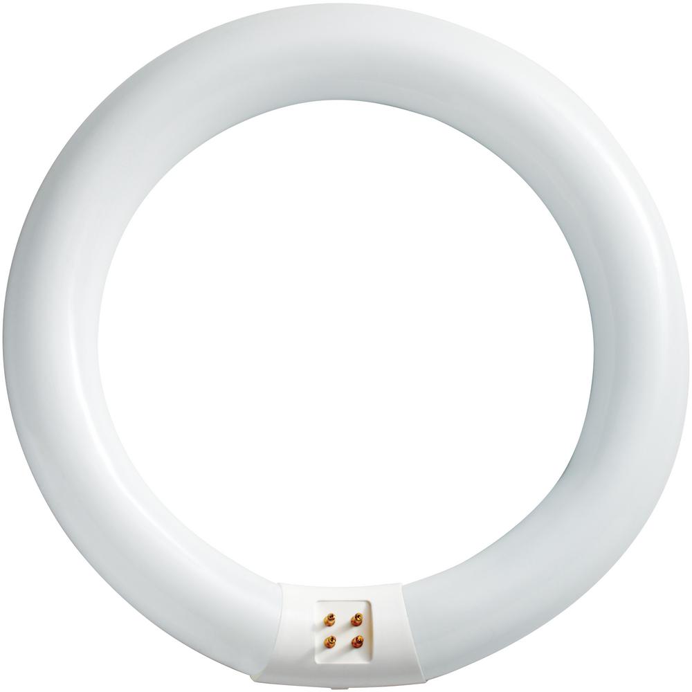 Jinn Lighting Fcl 22w Daylight | Shelly Lighting