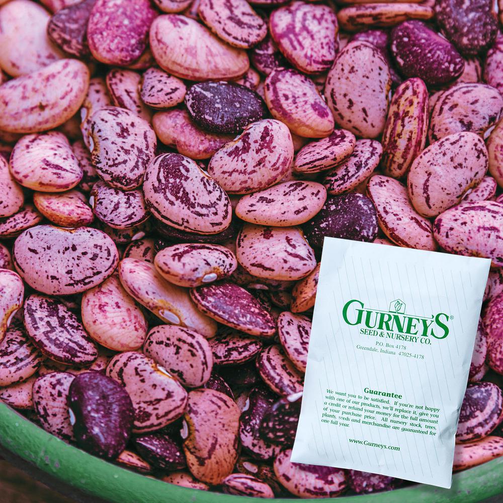 Gurney's Butter Pea Dixie Speckled Vegetable Seeds (2 oz. Seed Packet ...