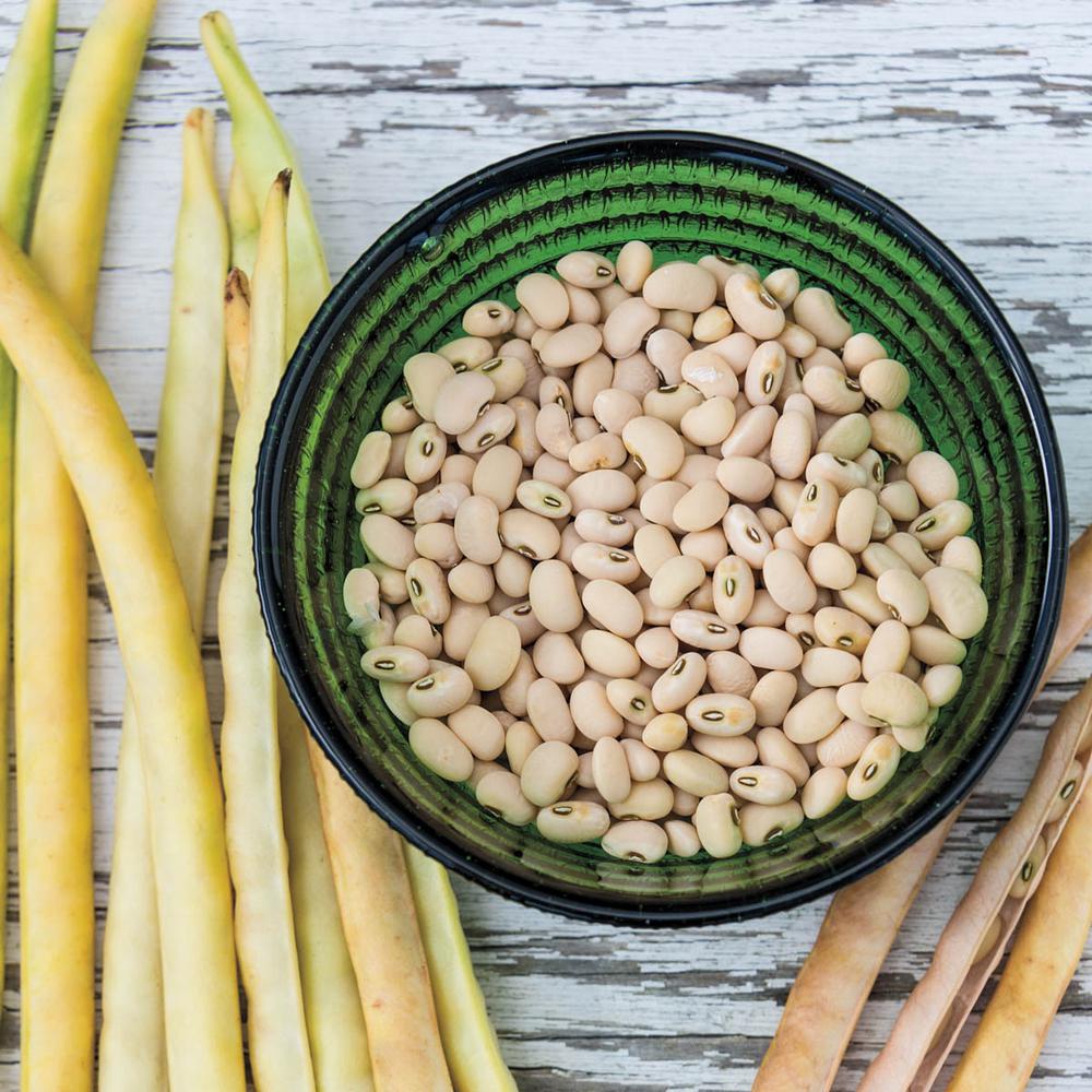 Gurney's Cream Pea Elite (0.25 lb. Seed Packet)-85278 - The Home Depot